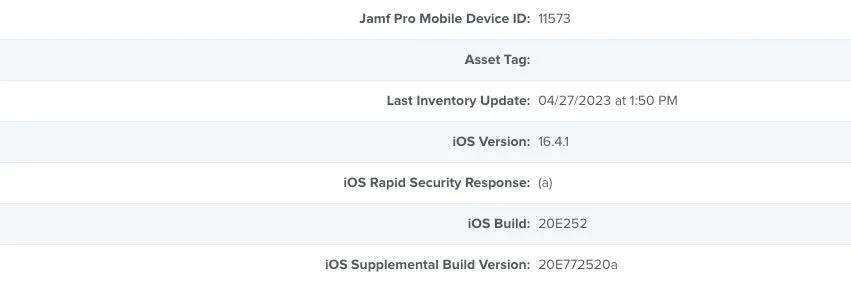 How to take advantage of Apple Rapid Security Response.