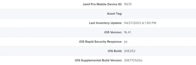 How to take advantage of Apple Rapid Security Response.