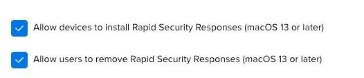 How to take advantage of Apple Rapid Security Response.