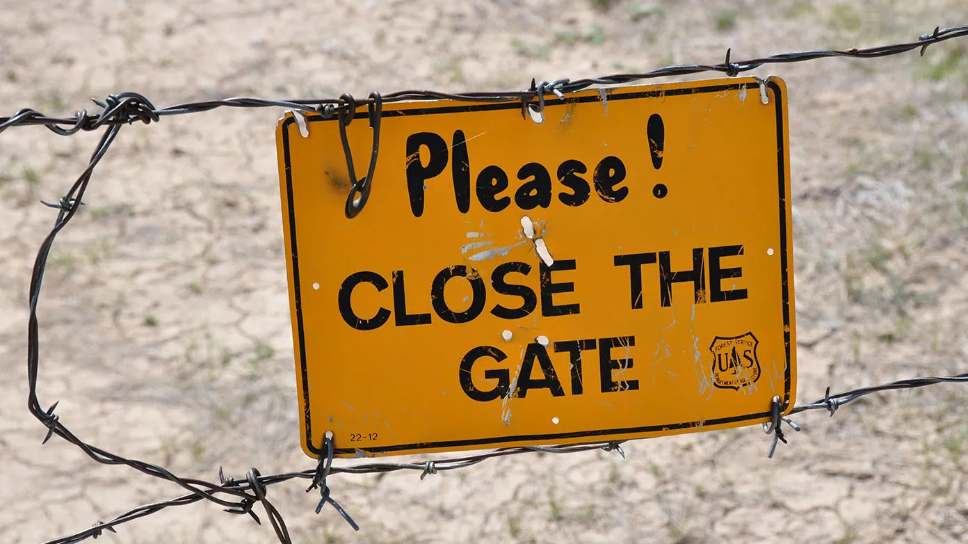 Understanding Advanced Endpoint Protection: A Comprehensive Guide