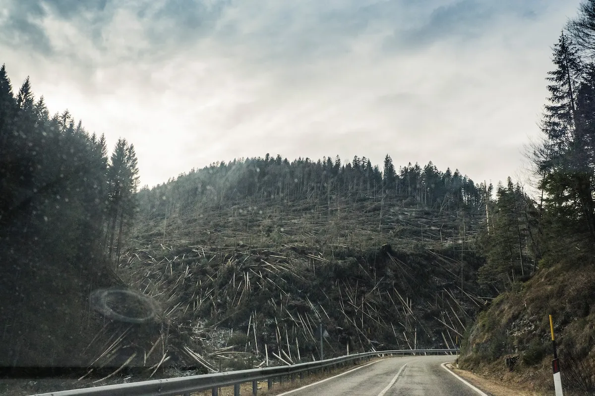 Meet Aftermath. Free Open-Source Incident Response Tool for macOS from ...